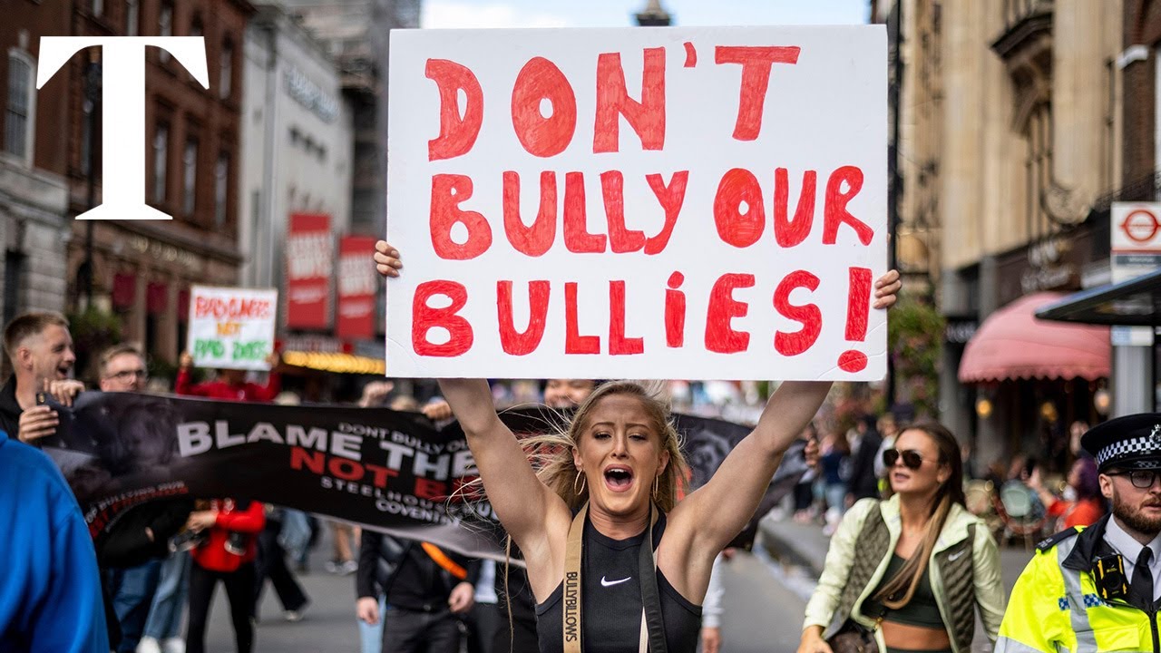 Hundreds of American XL bully owners rally against government ban - YouTube