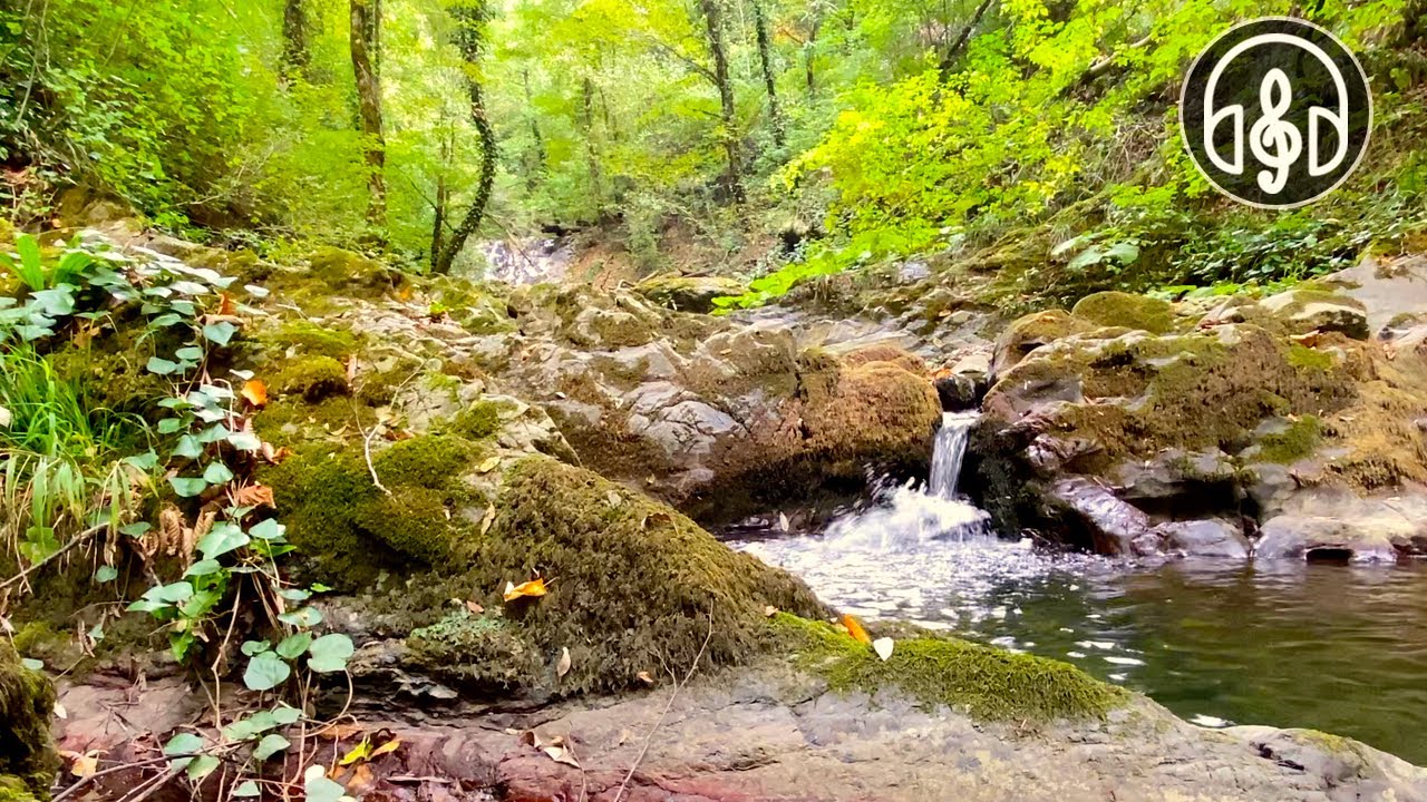 Gentle Sound Of A Small Waterfall. 6 Hours of Deep Sleep and Relaxation ...