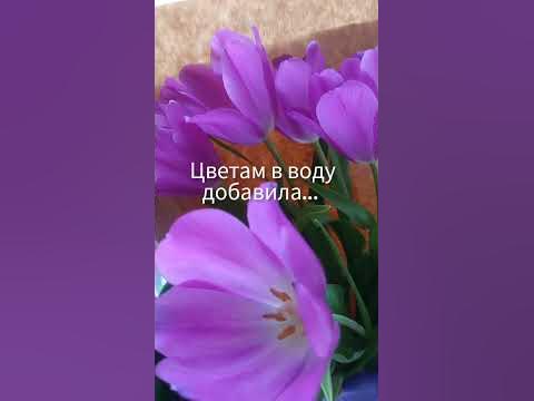 Чтобы букет цветов стоял долго 💐 - YouTube