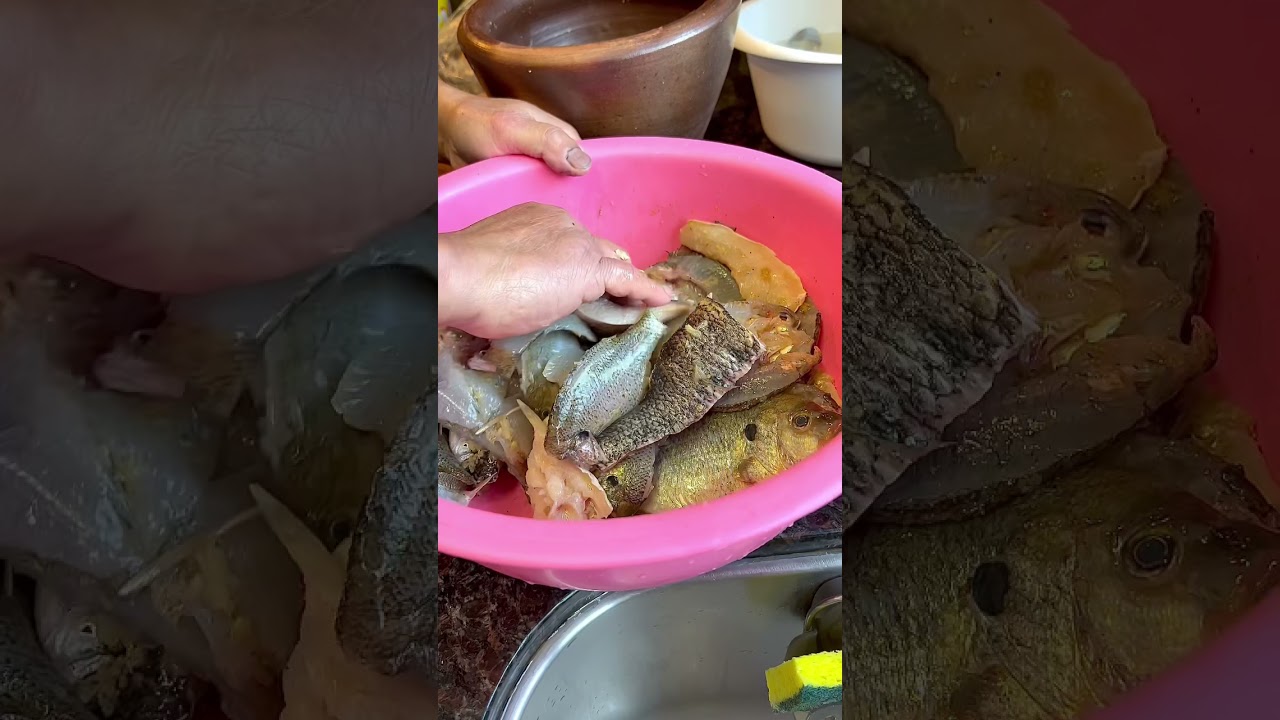 Lao Dried Fish | Recipe | Sun Dried - YouTube