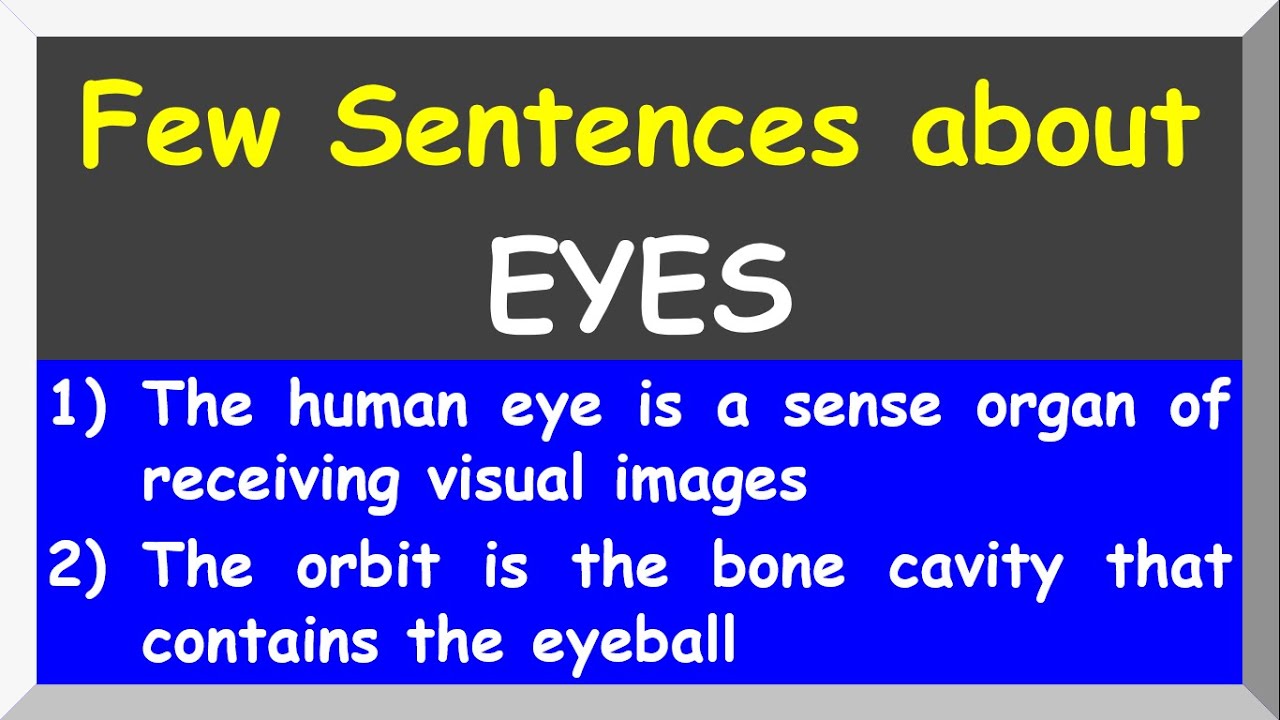 Few Sentences About Eyes 10 Lines On Eyes About Human Eyes In Few Sentences About Eyes 10 Lines On Eyes About Human Eyes In