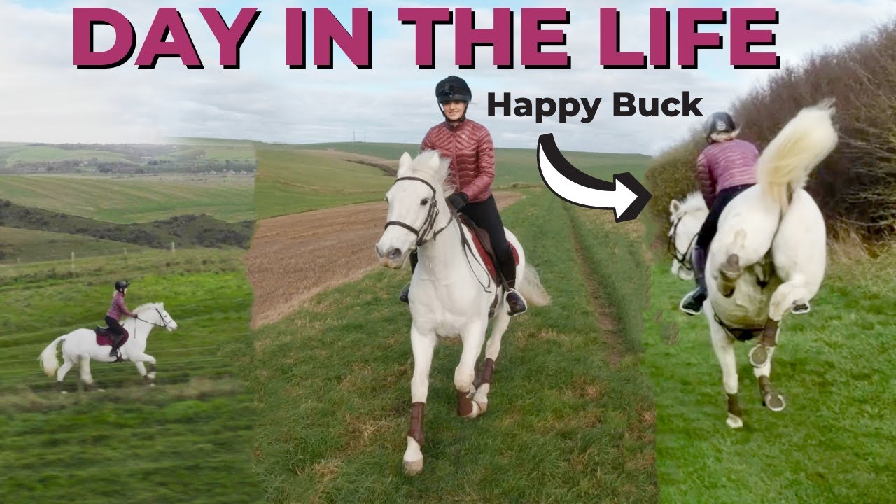 Day in the Life of my pony Casper | This Esme AD - YouTube