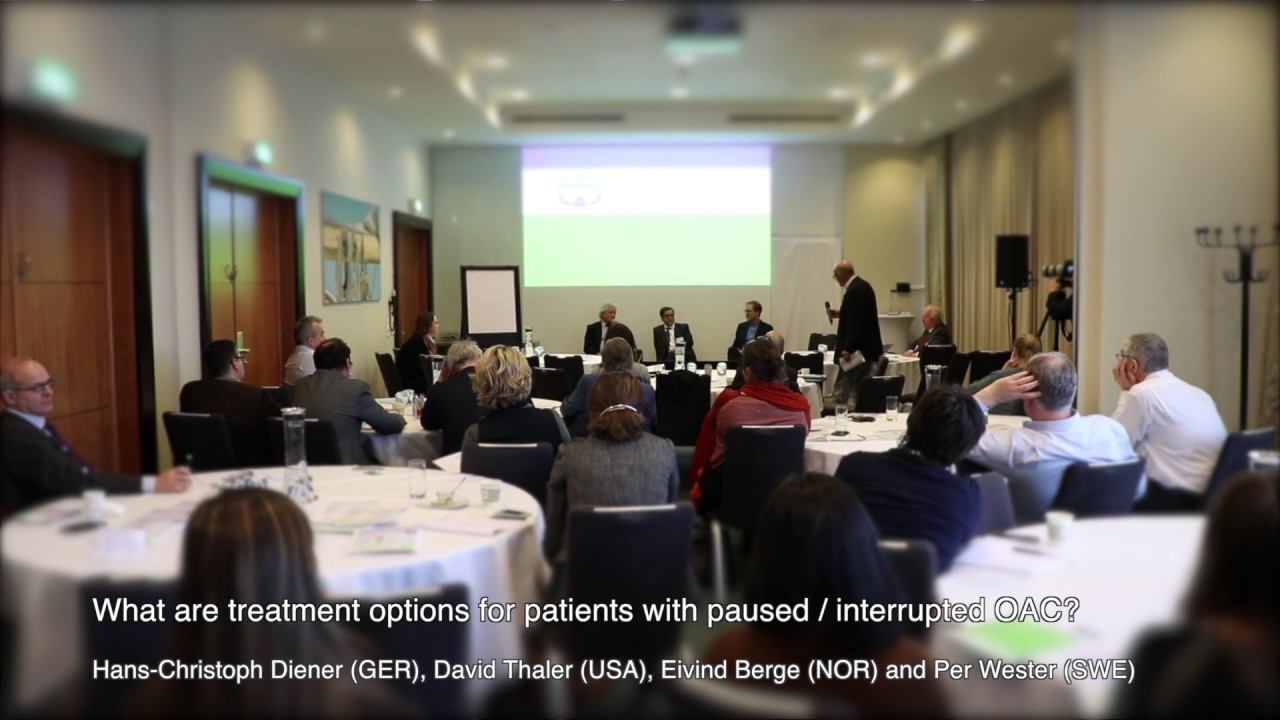 Heart & Brain Summit Panel discussion #2 Hans Christoph Diener,David ...