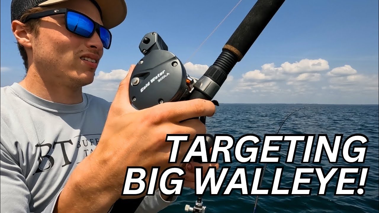 Top Snap Weight Rig Setup for Trophy Walleye on Lake Erie - YouTube