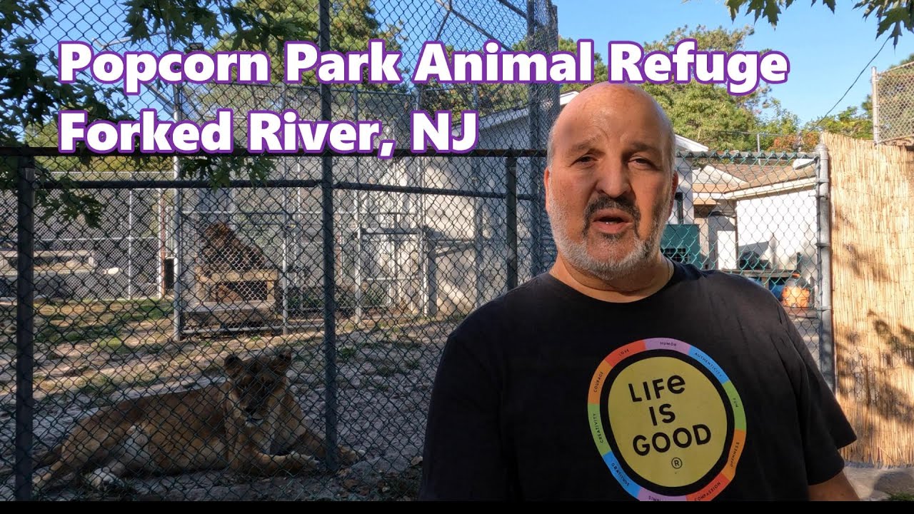 Popcorn Park Animal Refuge Reviews