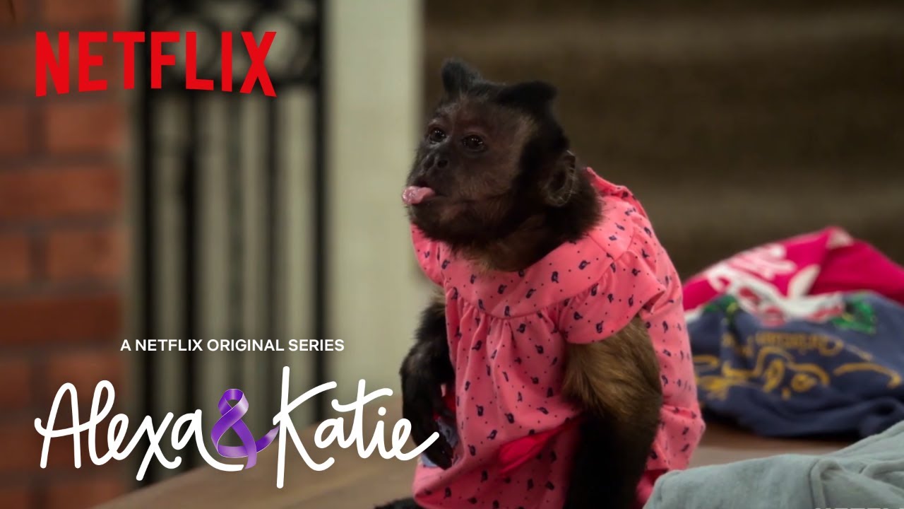 Babysitting A Monkey | Alexa & Katie | Netflix Futures - YouTube