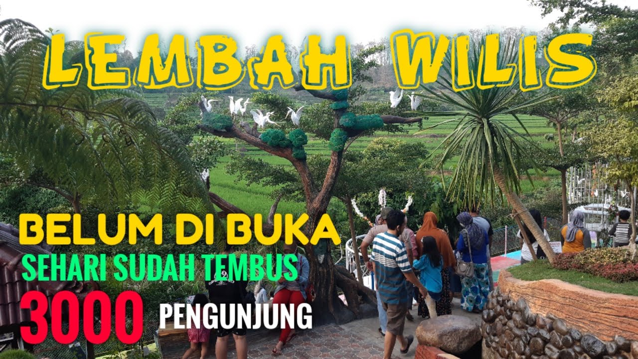 LEMBAH WILIS MADIUN - WISATA BARU DESA KRESEK - YouTube