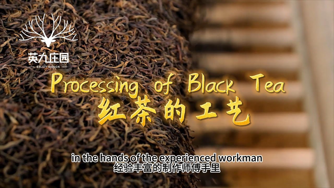 The main processing steps of black tea, see what you don't know yet ...
