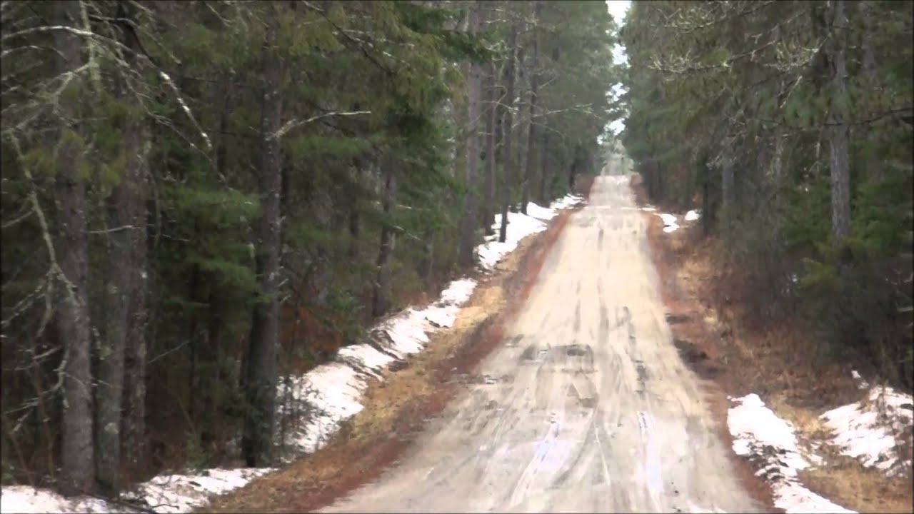 Hare Hunting With Beagles 3/30/16 - YouTube
