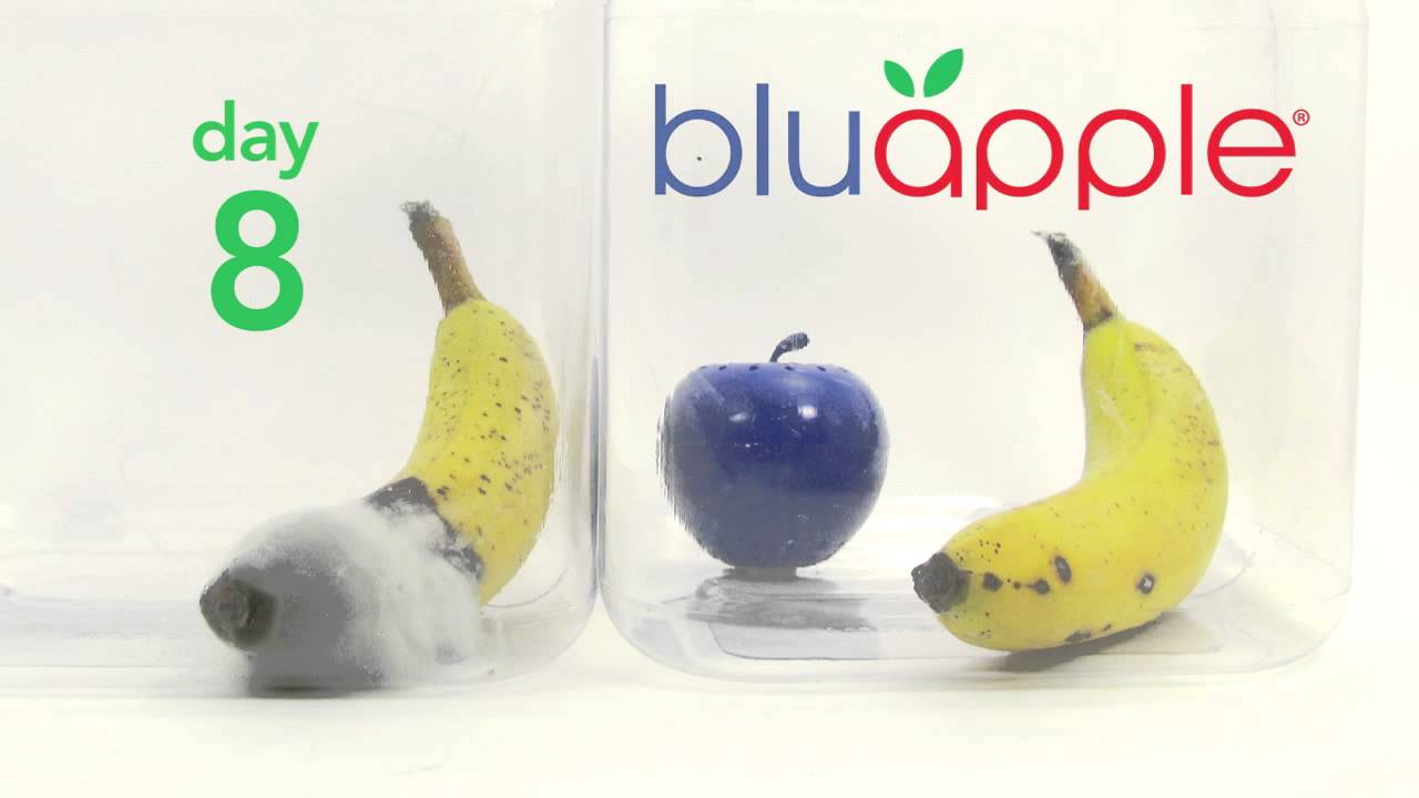 The Bluapple Banana Time-lapse Video. Keep Produce Fresher Longer ...
