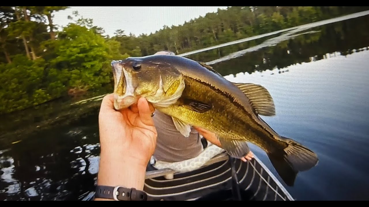 MISSED A MONSTER BASS FROG FISHING @5:14, CRAZY TOPWATER EXPLOSION! UPS ...