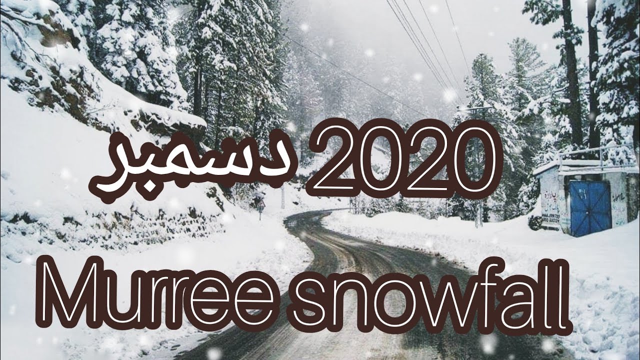 Murree weather today | Murree Snowfall | Murree today | Snowfall in ...