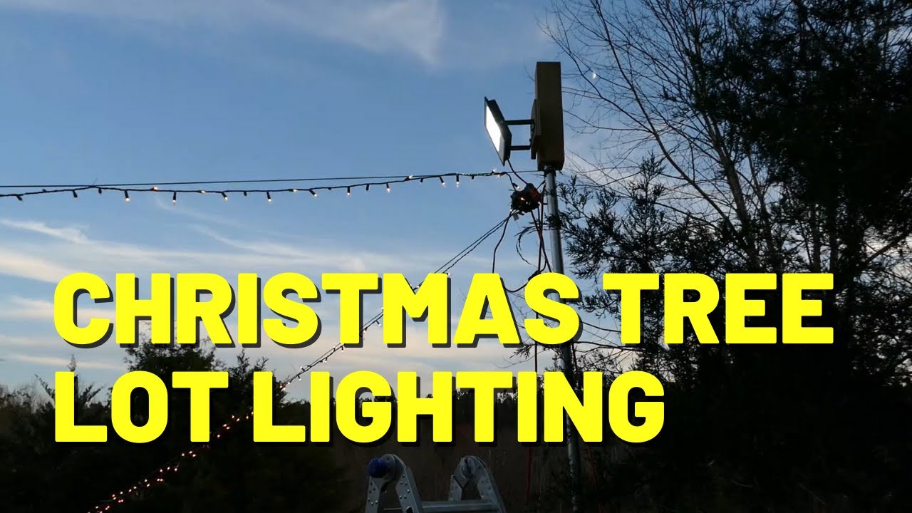 #205 Lighting Setup For The Christmas Tree Lot - YouTube