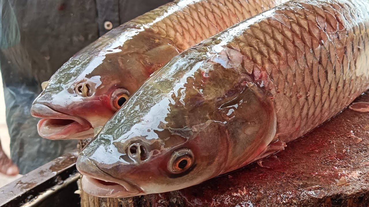 బోన్ లెస్ ఫిష్ కటింగ్ fish boneless cutting skills gas cut fish ...