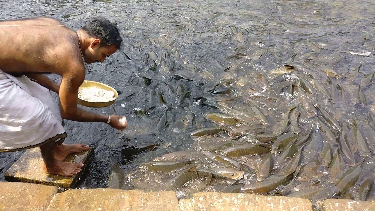 Shishileswara Temple - Shishila - YouTube