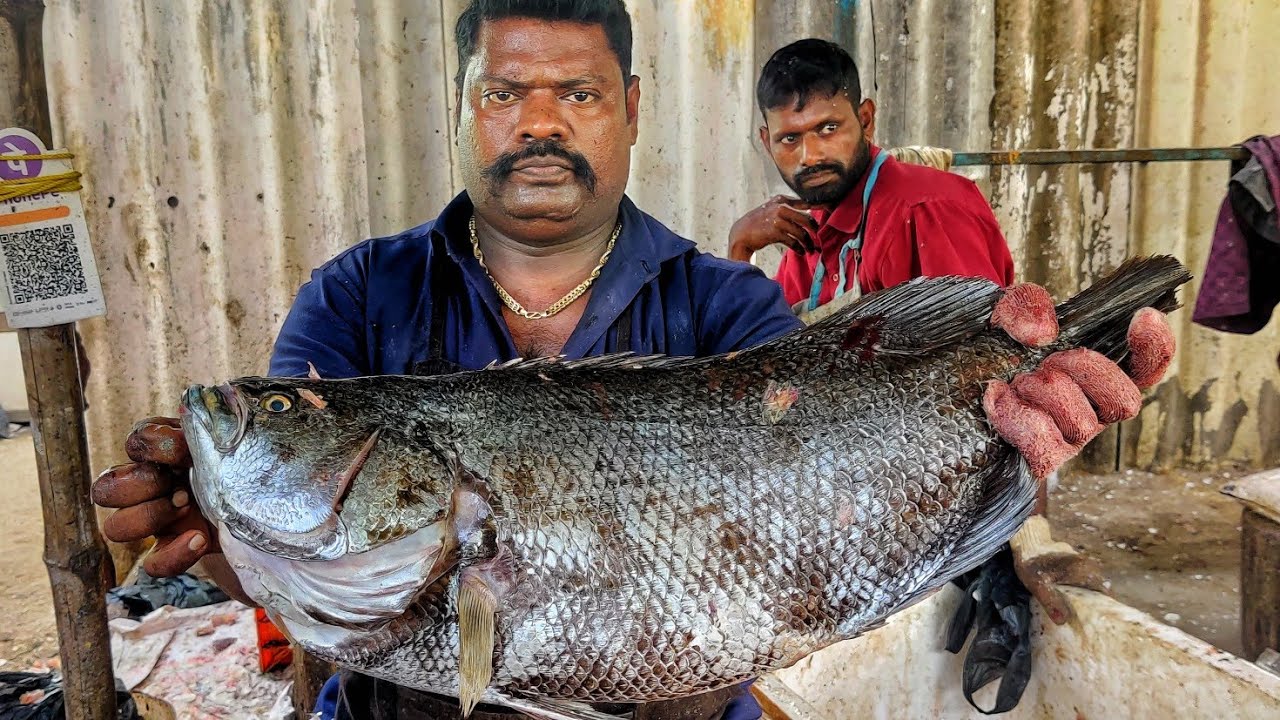 KASIMEDU SPEED SELVAM KAL KODUVA FISH CUTTING VIDEO - YouTube