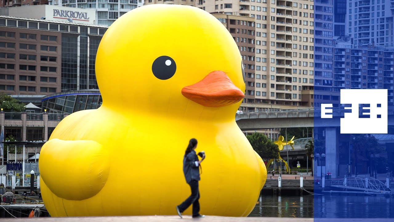 El pato amarillo gigante de Hofman llega a Pekín - YouTube