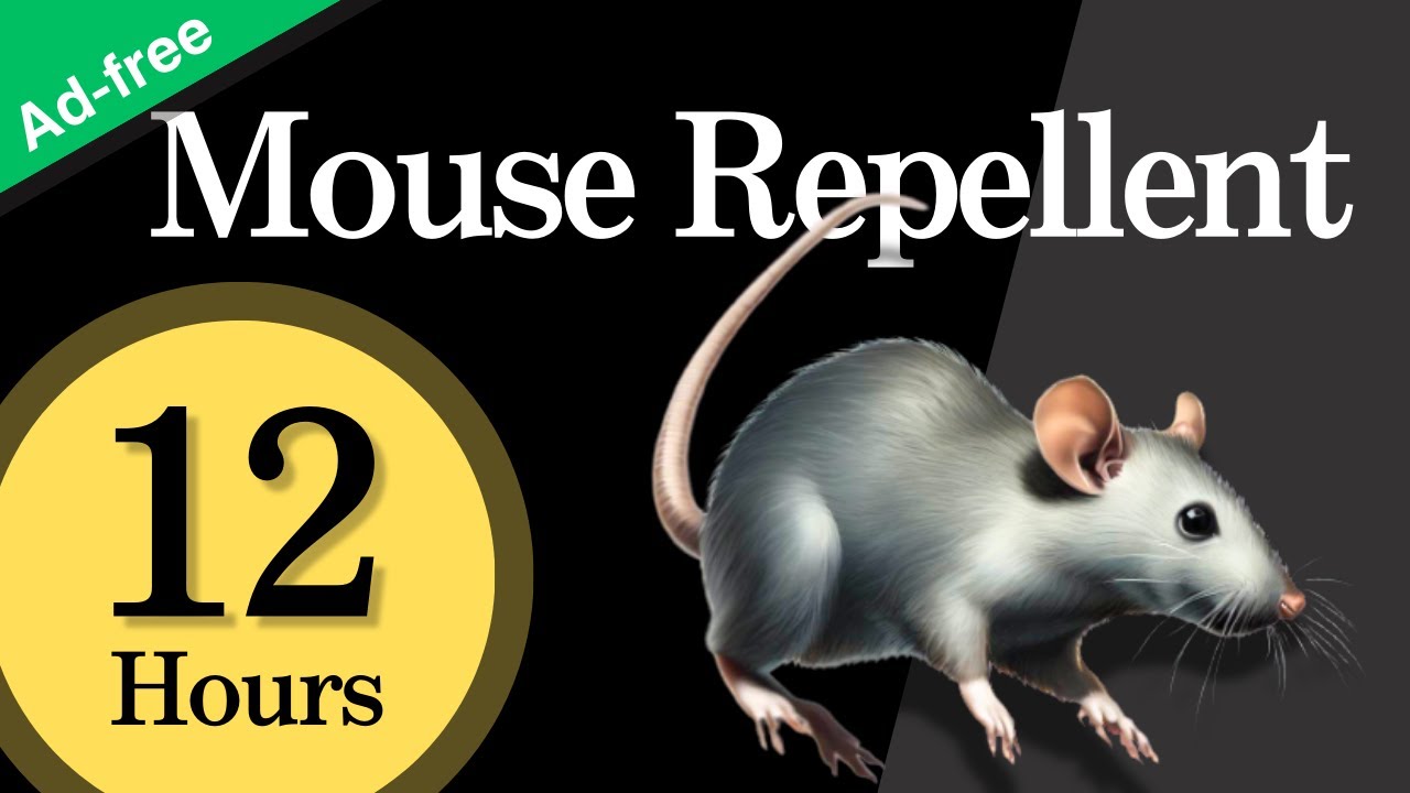 [Ad-free] Mouse Repellent Noise | Works While You Sleep or Away | 12 ...