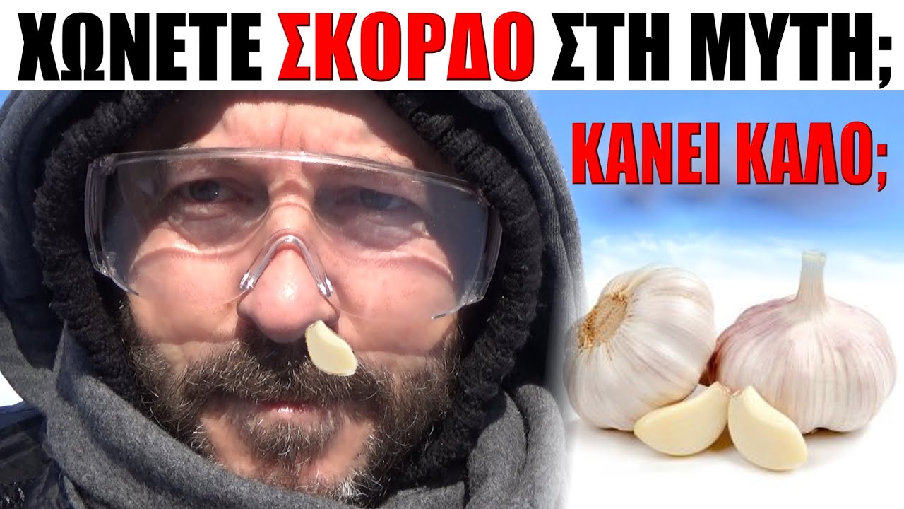 ΧΩΝΕΤΕ ΣΚΕΛΙΔΑ ΣΚΟΡΔΟ ΣΤΗ ΜΥΤΗ; 😲🧛‍♀️🧄 - YouTube
