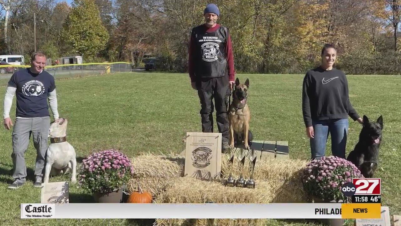 Mid-Atlantic Working Dog Club hosts national championship - YouTube