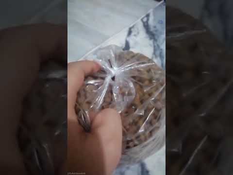 KEDİ SAZ MİX 30 DAKİKA