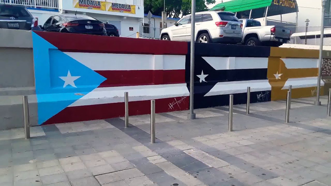 78 Pueblos y 1 Bandera 🇵🇷 🍍La Palguera🍍 in Lajas PR 🇵🇷 Hector PR - YouTube