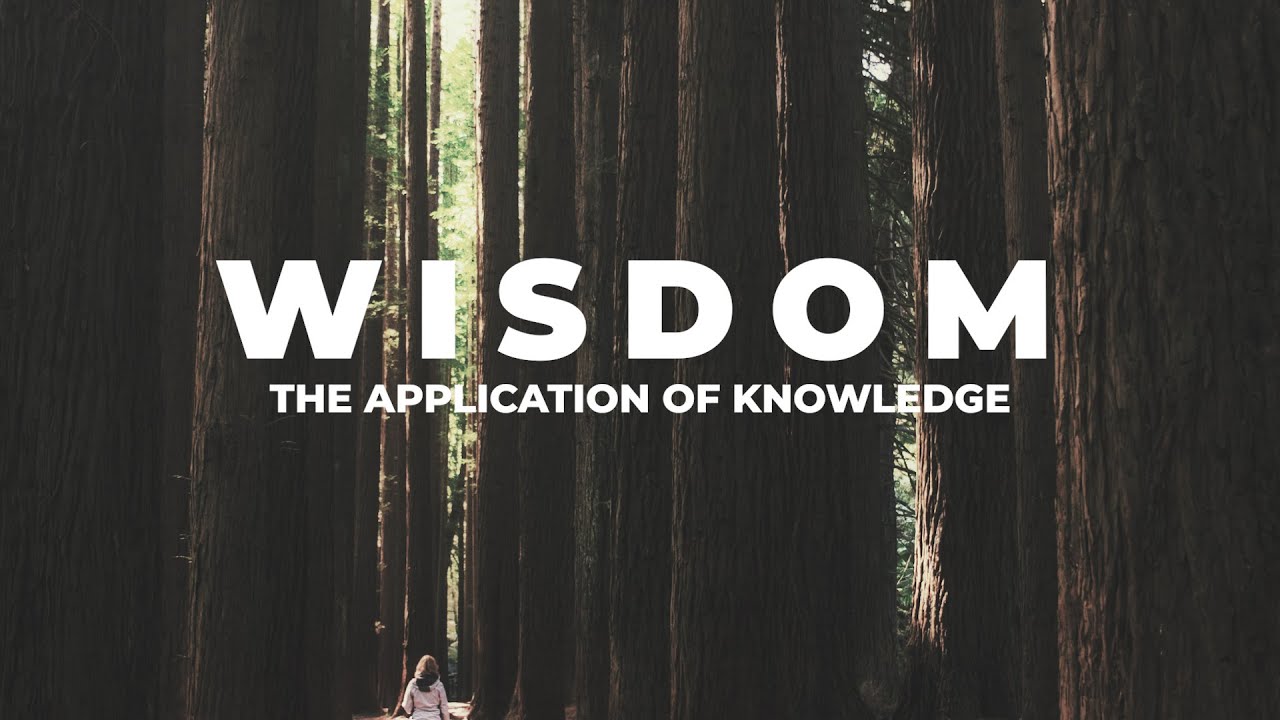 Wisdom: The Application of Knowledge (Promo #1) - YouTube
