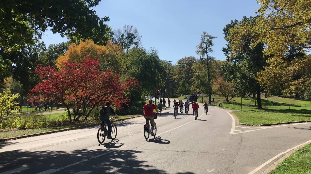 People Cycling in Central Park New York - YouTube