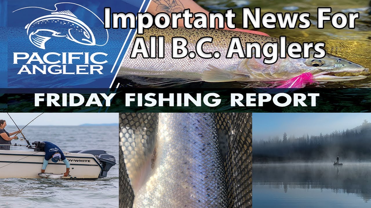 Vancouver Fishing Report -Important News for BC Anglers // Saltwater ...