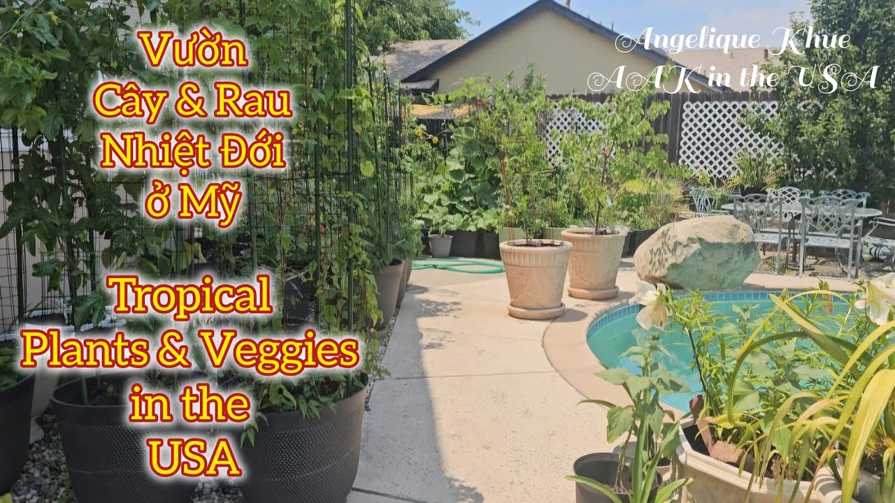 🇺🇲Vườn Cây & Rau Nhiệt Đới ở Mỹ. Tropical Plants & Vegetables Garden in ...