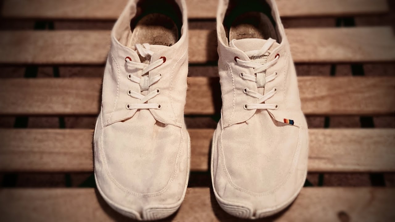 Wildling Tanuki: Are They Really That Good? - YouTube