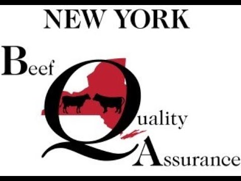 Beef Quality Assurance classroom presentation - YouTube