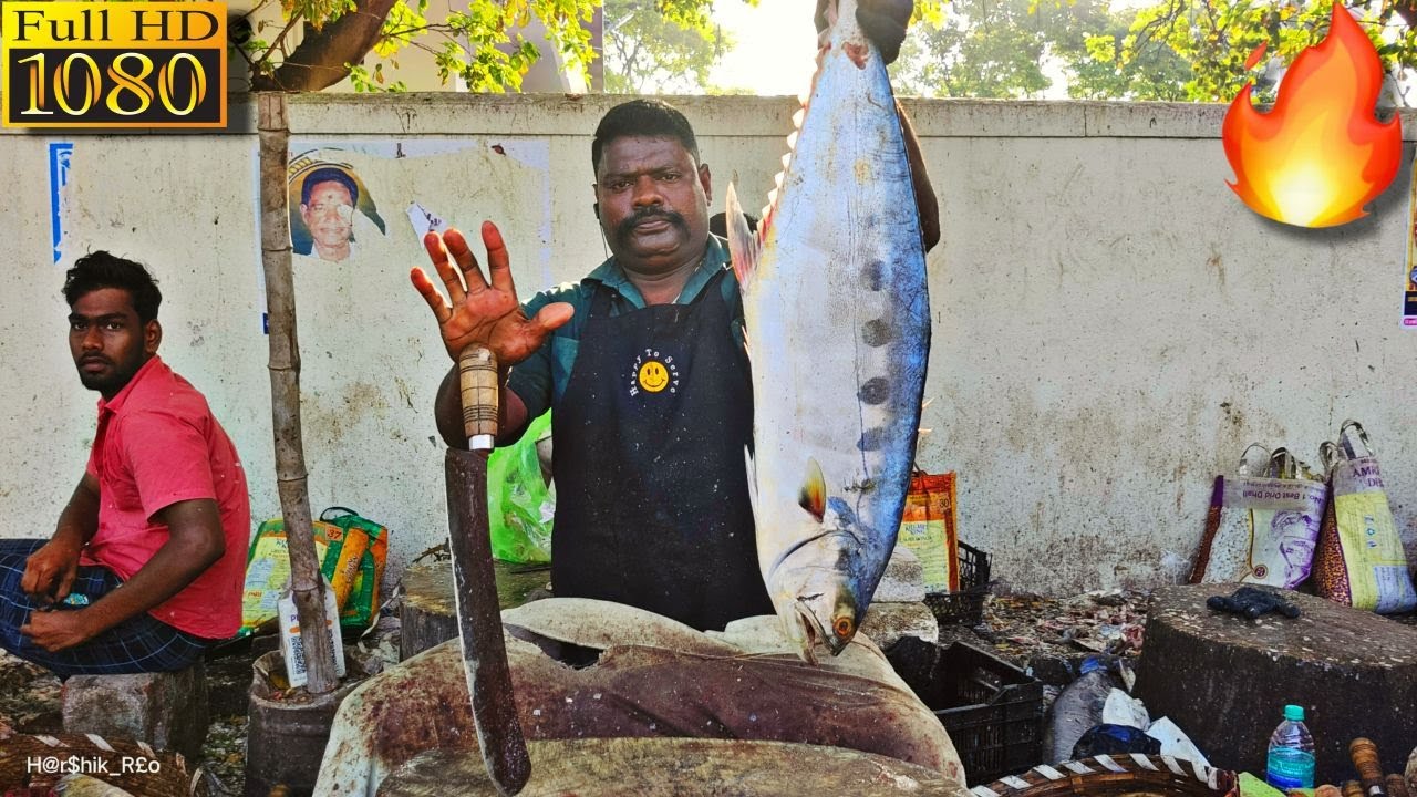 KASIMEDU 🔥SPEED SELVAM | QUEEN TREVALLY FISH CUTTING🐟 | FISH CUTTING ...