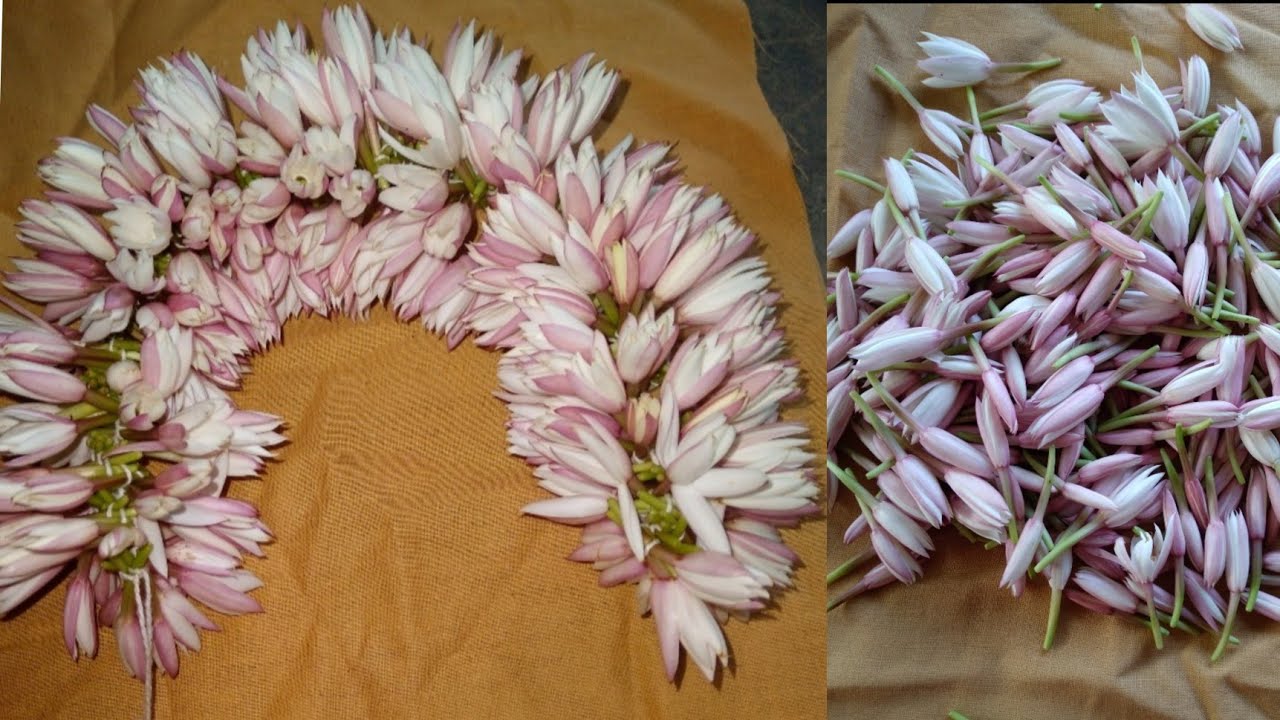 #how to make veni #easy veni # veni preparing 5minutes #venila #pls ...