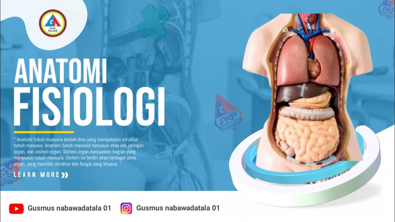 ANATOMI FISIOLOGI - YouTube