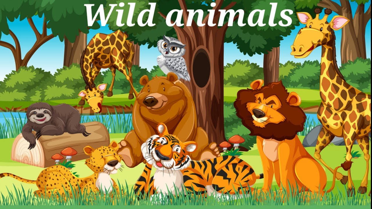 Learn wild animals name with picture || For kids || - YouTube