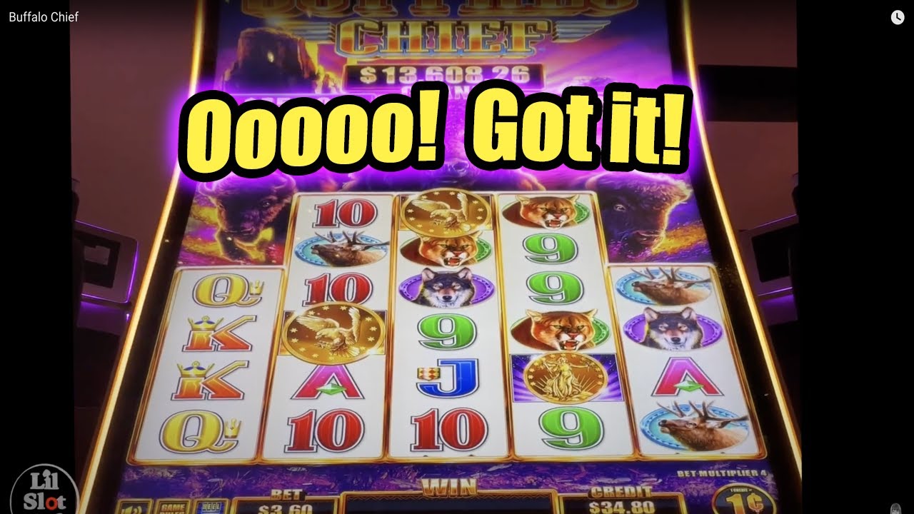 Buffalo Chief Bonus Having Slots of Fun in Las Vegas Baby! - YouTube