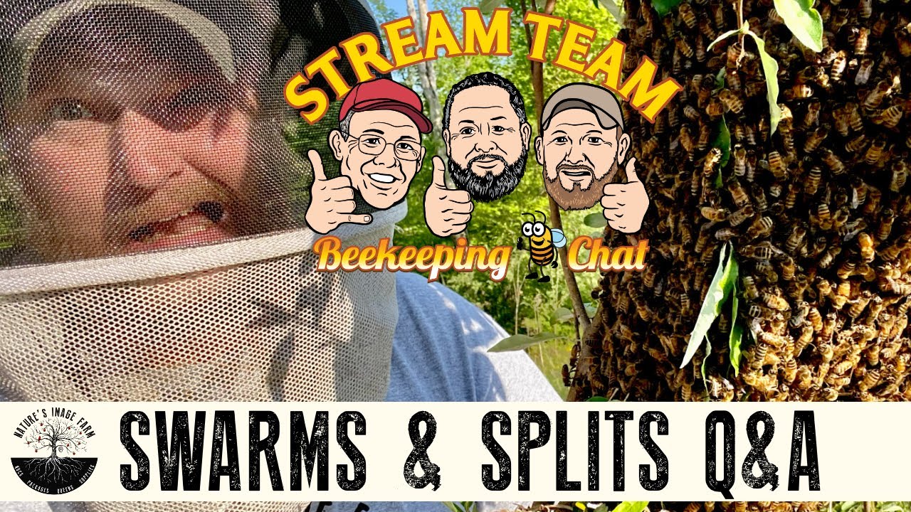 SWARMS & SPLITS Q&A w THE STREAM TEAM - YouTube