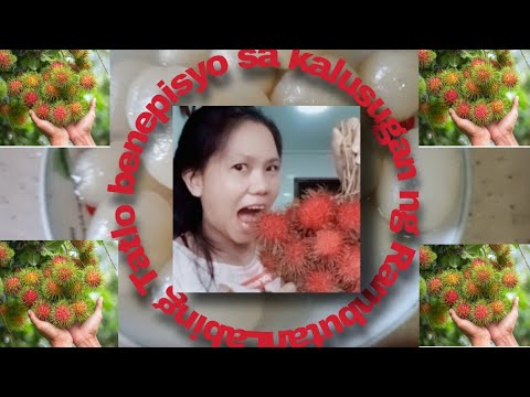 Labing Tatlo mga Benepisyo sa Kalusugan ng Rambutan||abellana888#ofw ...