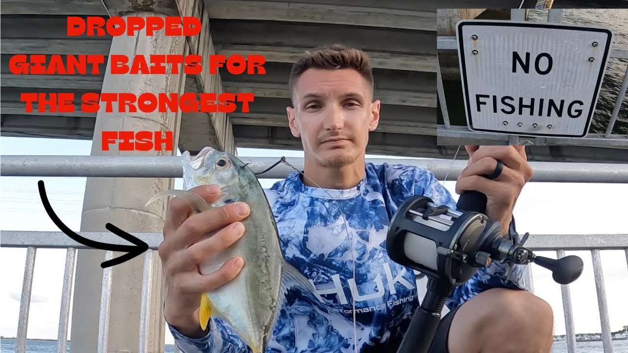 Bridge Fishing for the strongest fish in the ocean! - YouTube