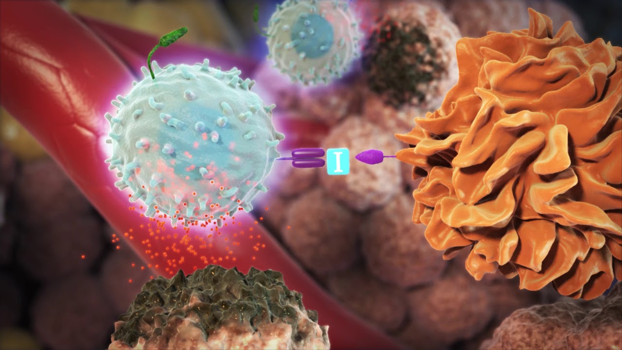 What is immuno-oncology treatment for cancer? - YouTube