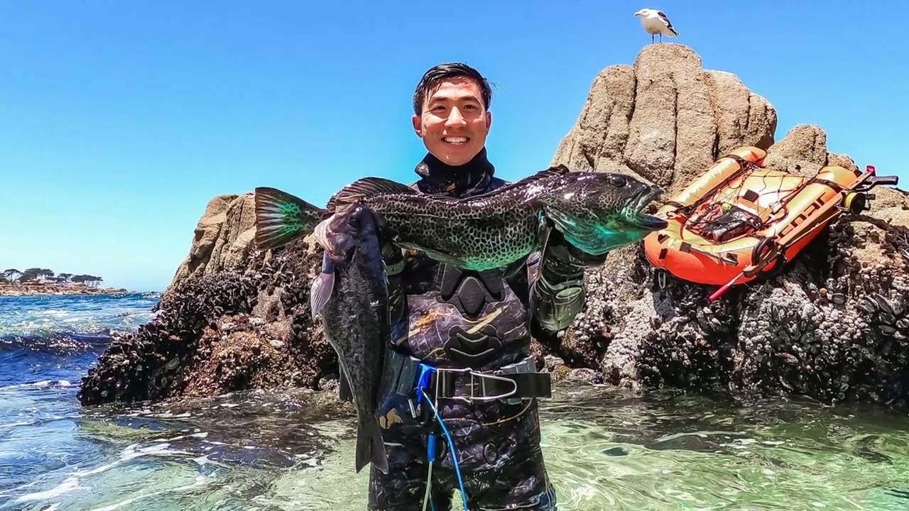 Carmel and Pacific Grove Spearfishing June 2022 - Caught a nice Blue ...