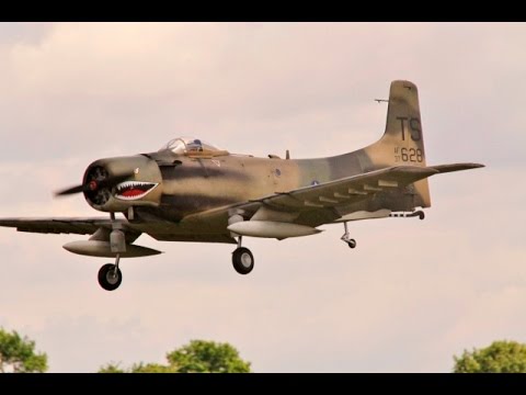GIANT RC 1/5 SCALE DOUGLAS A-1 SKYRAIDER - DLE 111cc - OZZY AT WILLIS ...