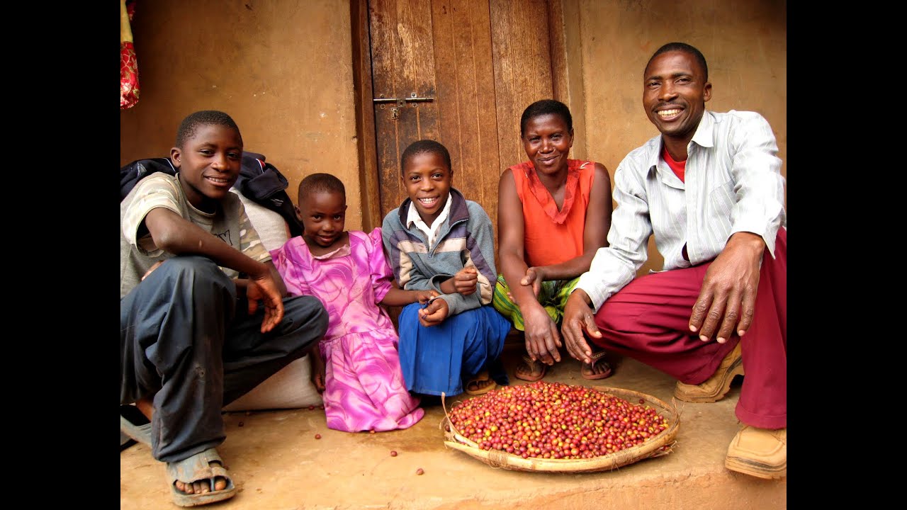 How We Do It - TechnoServe’s Approach to Fighting Poverty - YouTube