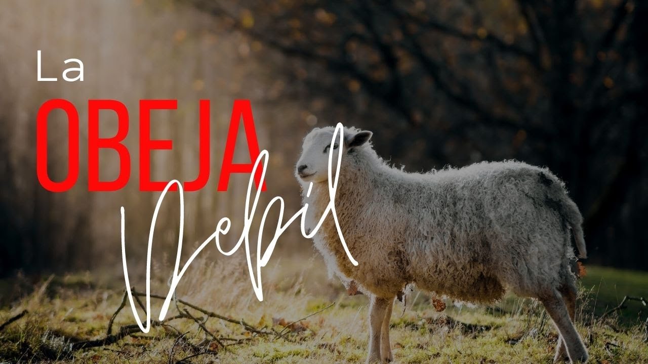 La oveja débil - Predica - YouTube