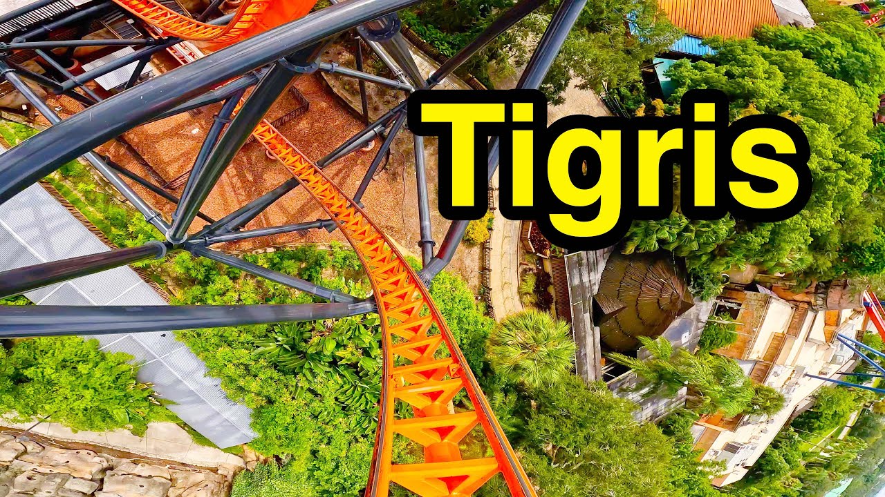 Tigris - Busch Gardens Tampa, FL - YouTube