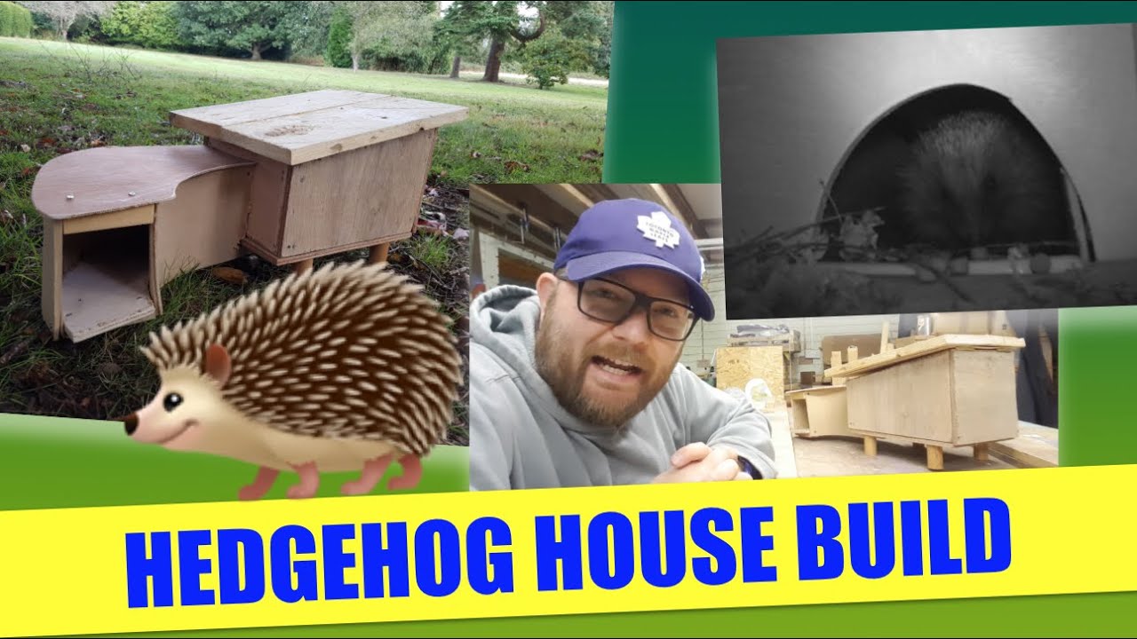 🦔 🏠 Building A Hedgehog House 🦔 🏠 - YouTube