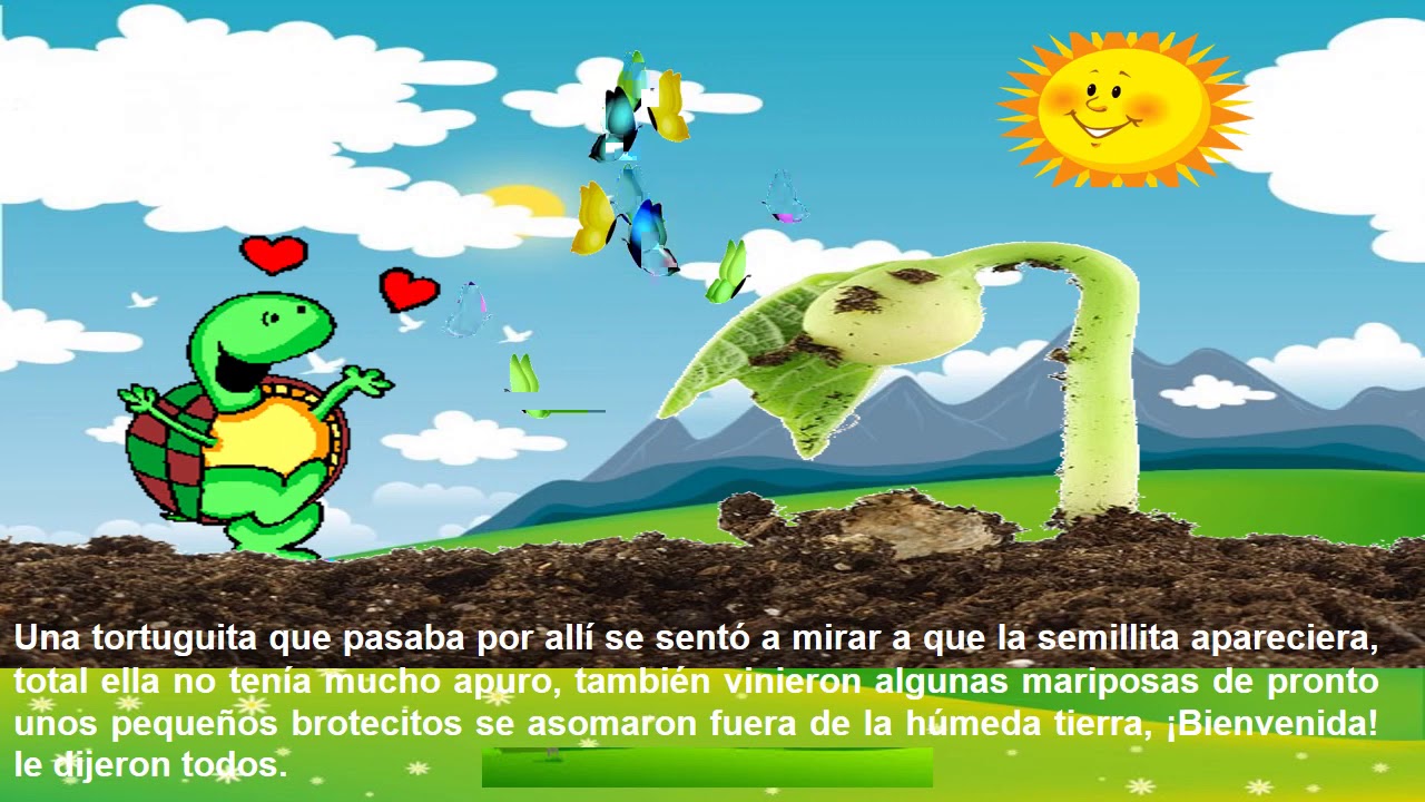 CUENTO LA SEMILLITA DORMILONA - YouTube