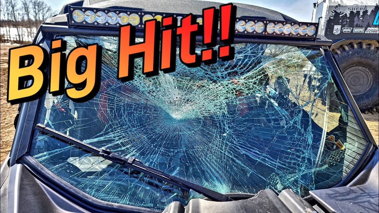 We Hit a Deer!!! - YouTube