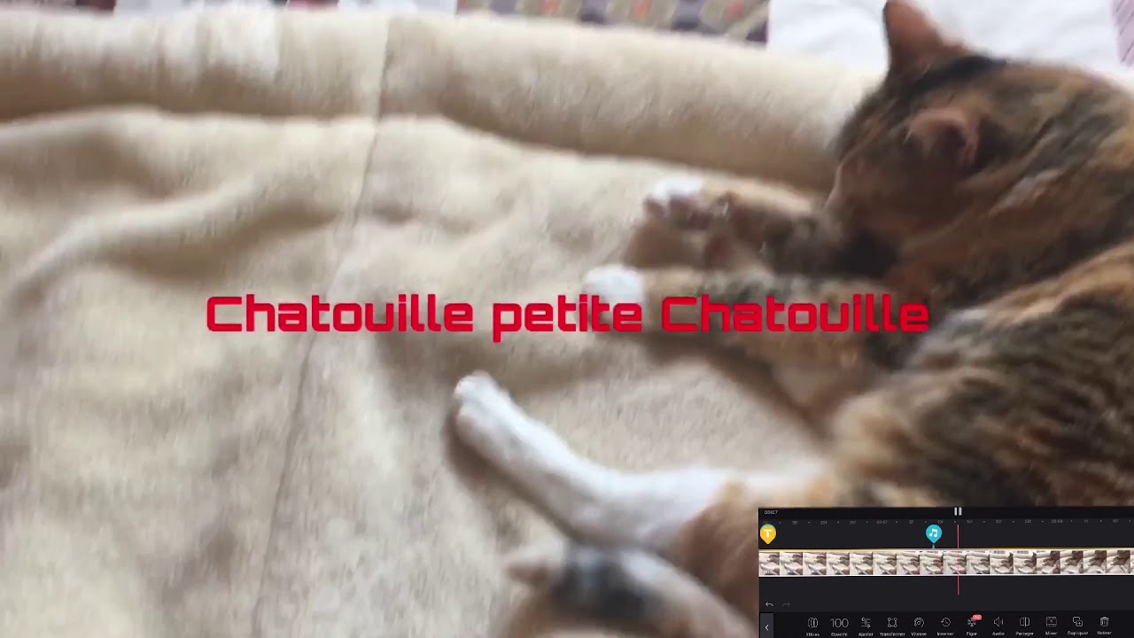 Chatouille petite Chatouille - YouTube
